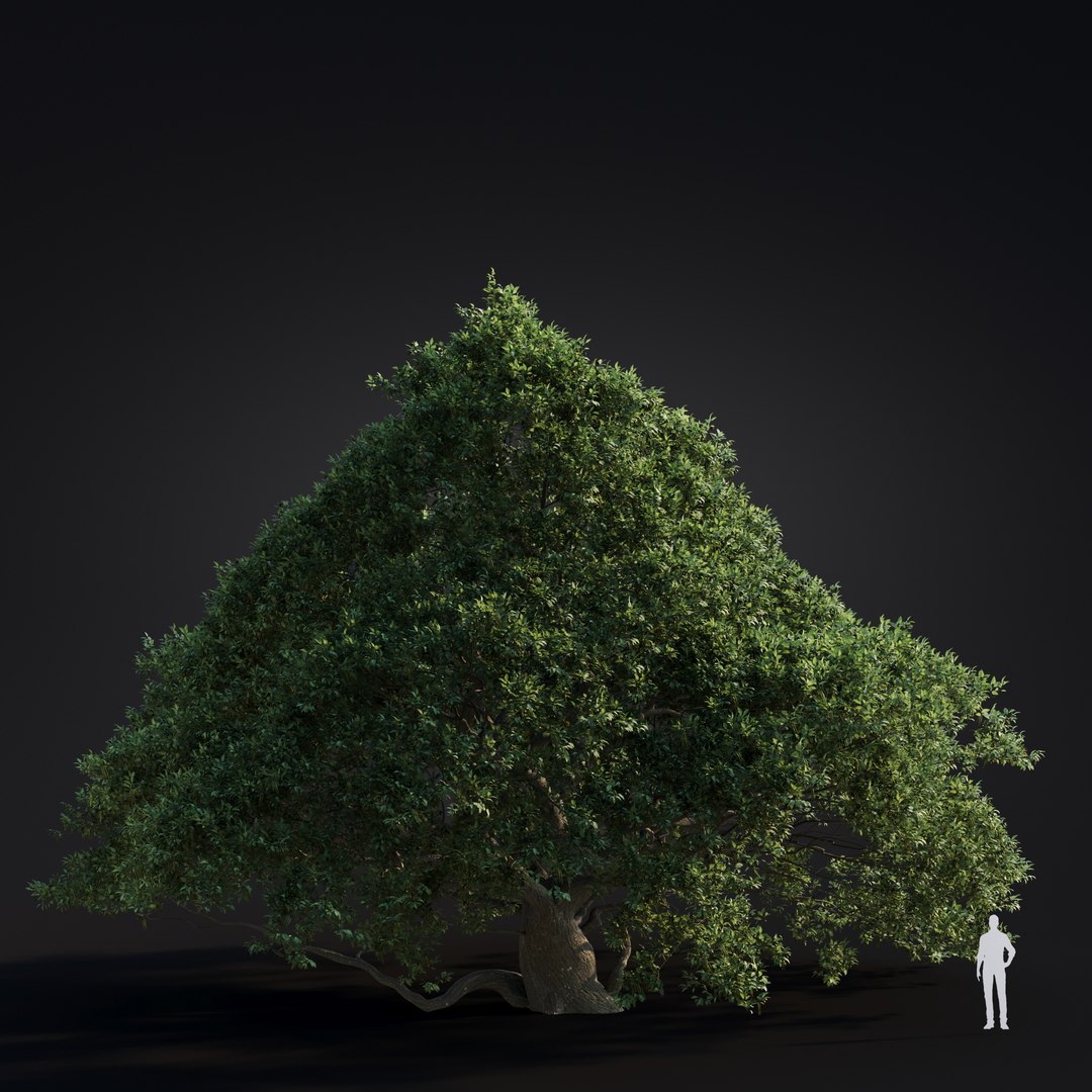 Archmodels Vol 283 For C4d 3D Model - TurboSquid 2214775