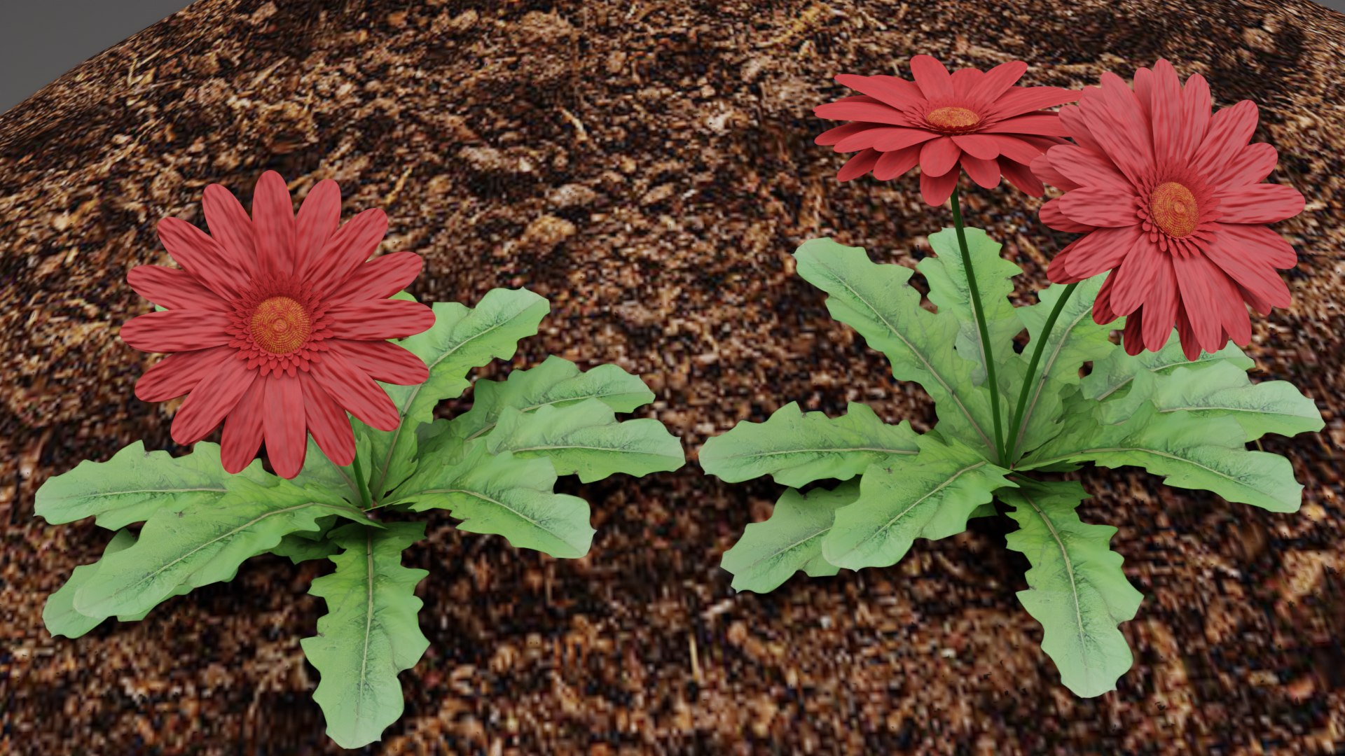 3D Gerbera Flower Model - TurboSquid 2086447