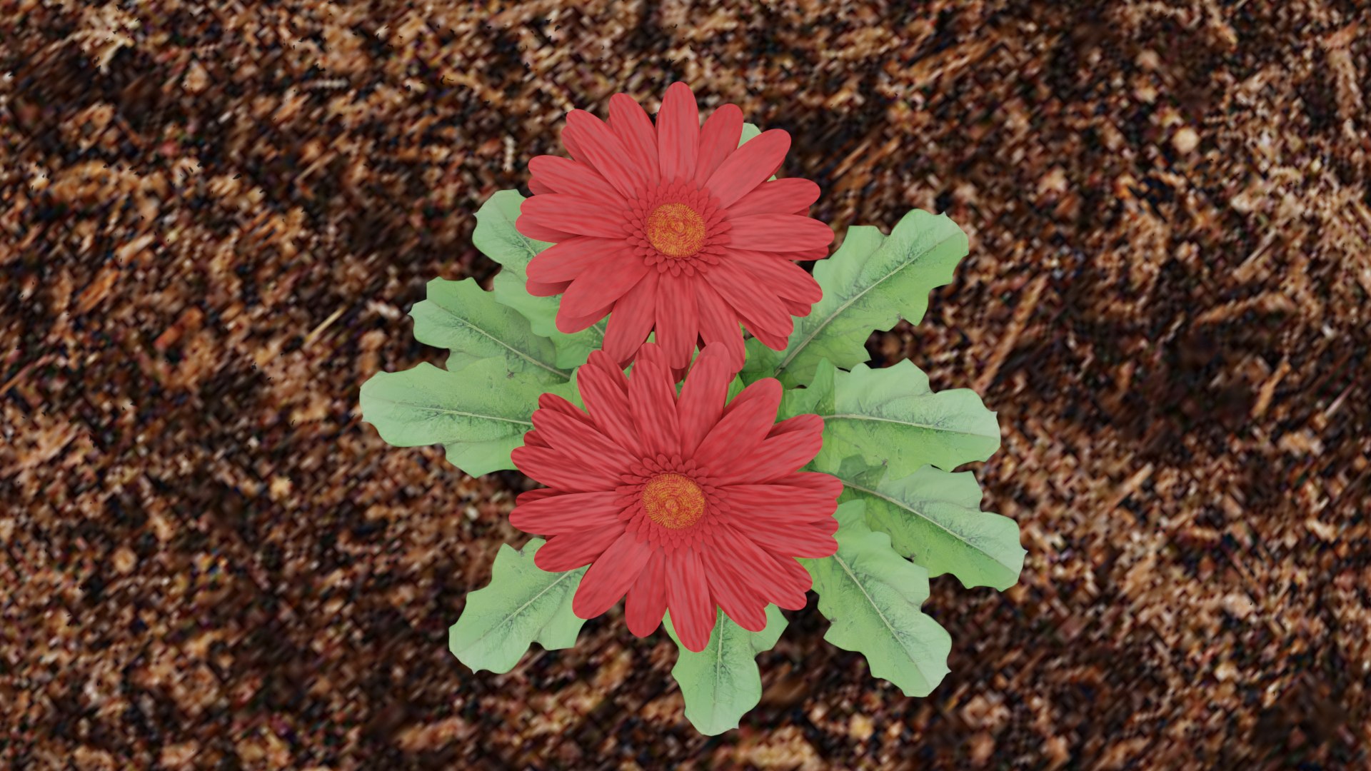 3D Gerbera Flower Model - TurboSquid 2086447