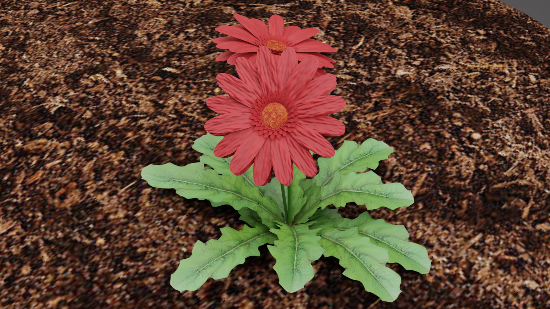 3D Gerbera Flower Model - TurboSquid 2086447