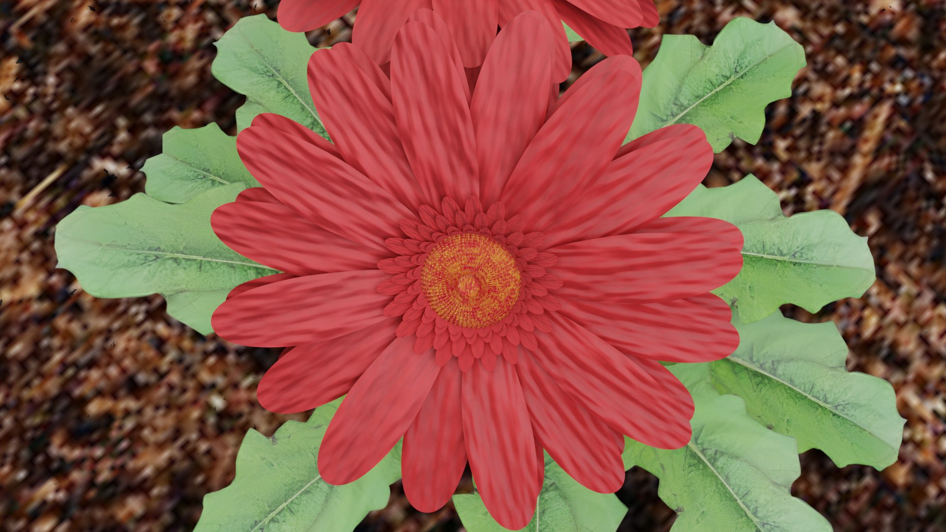 3D Gerbera Flower Model - TurboSquid 2086447