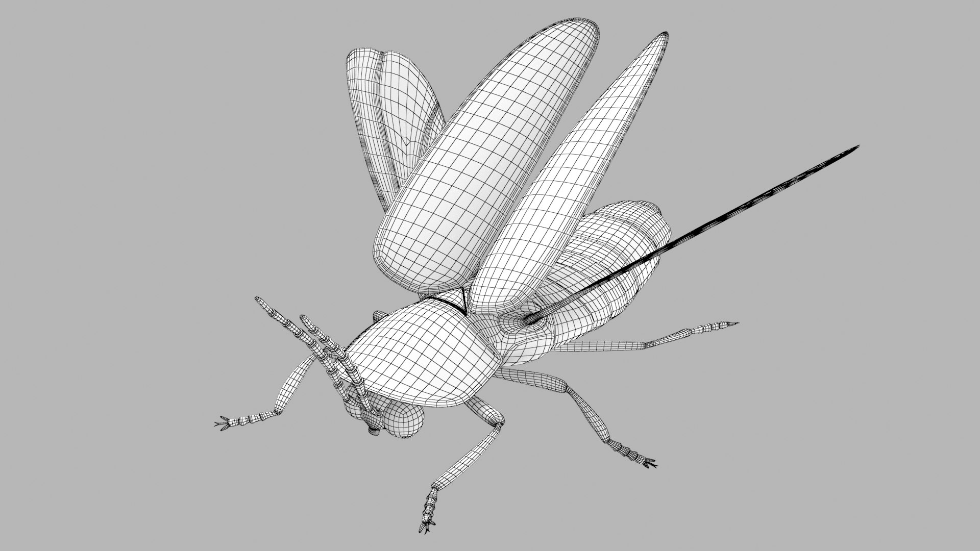 Firefly Pbr Model - TurboSquid 1604512