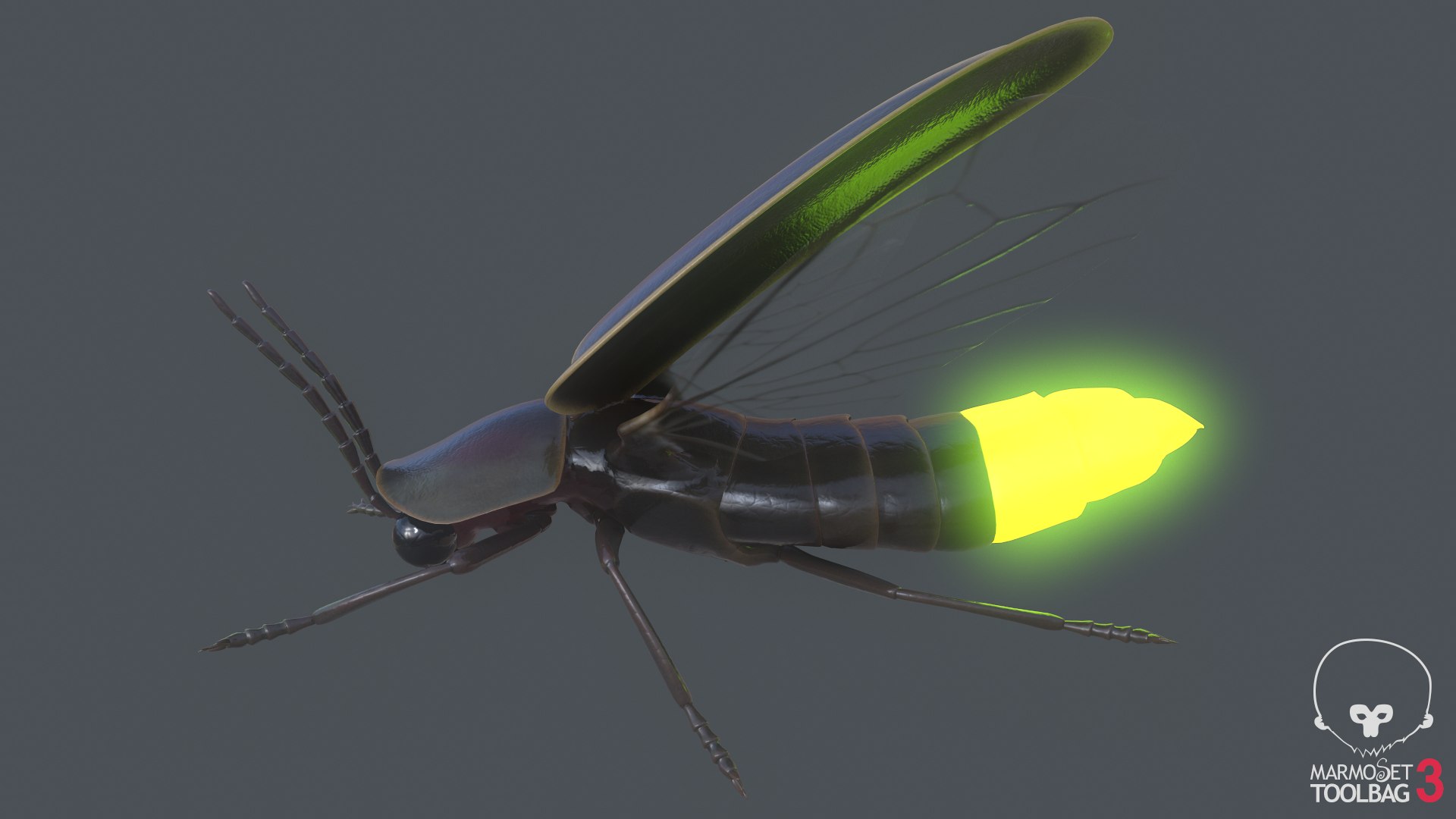 Firefly Pbr Model - TurboSquid 1604512
