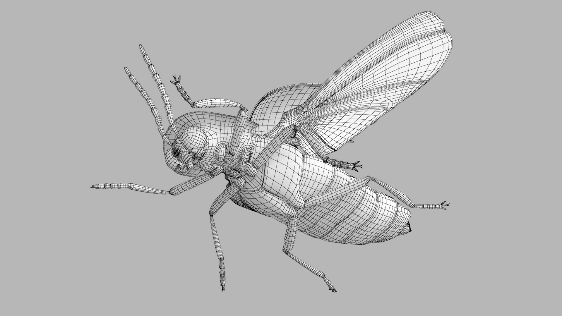 Firefly Pbr Model - TurboSquid 1604512