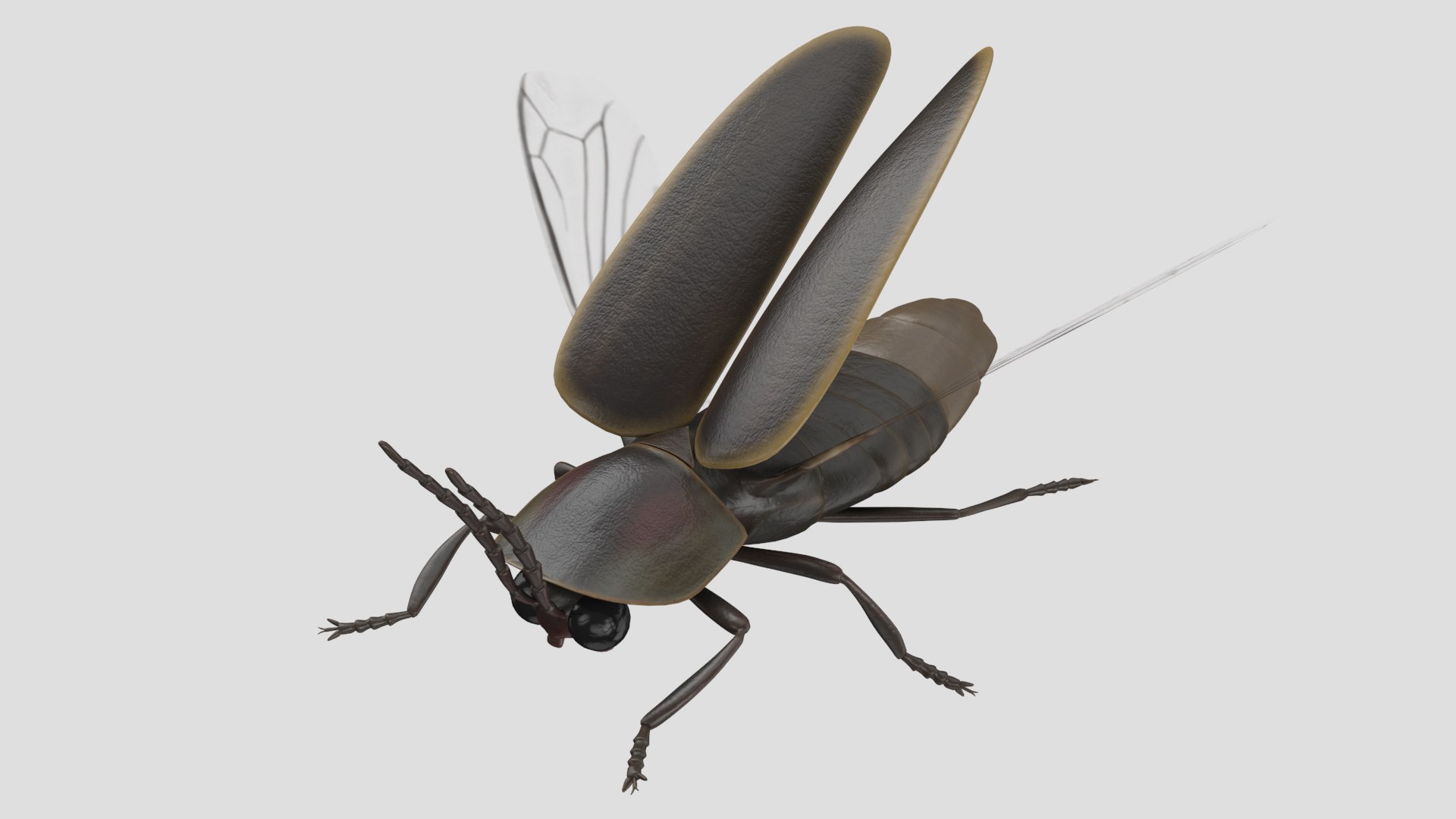 Firefly Pbr Model - TurboSquid 1604512