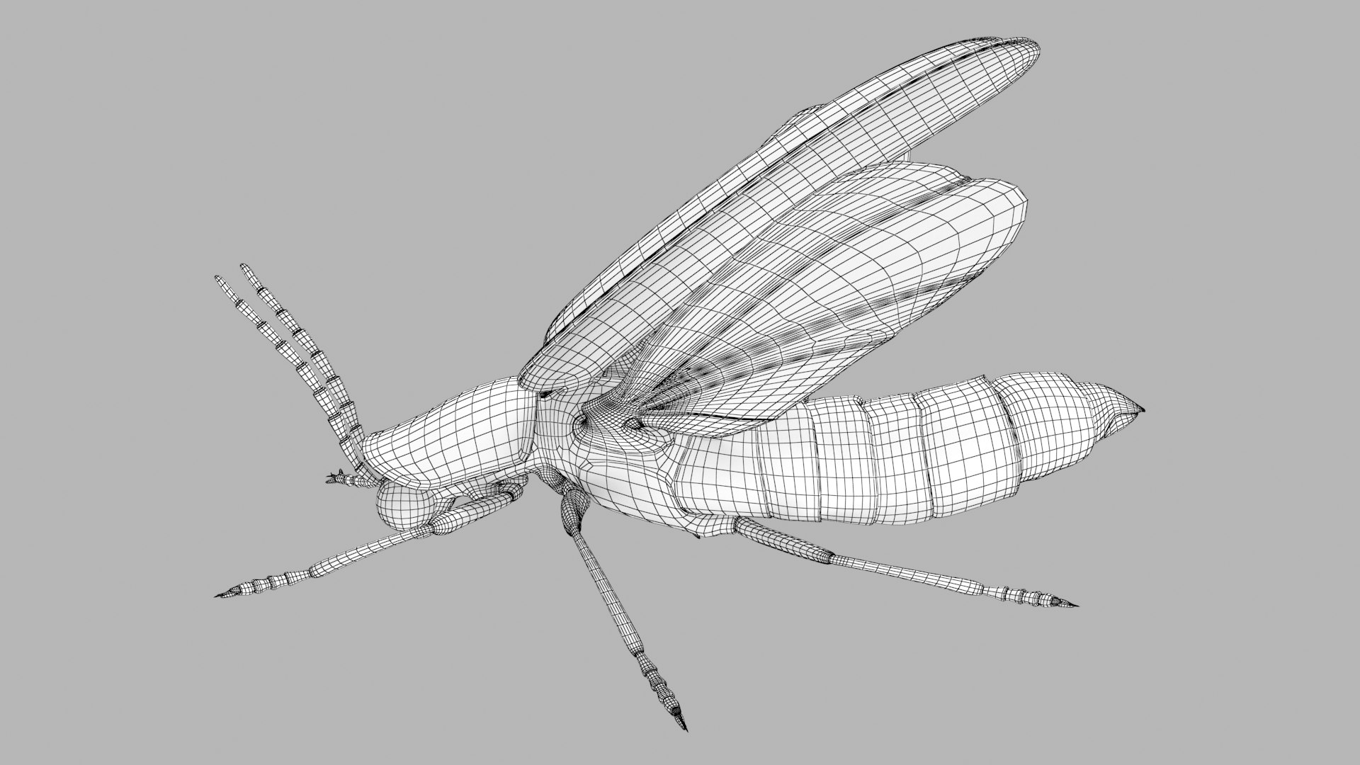 Firefly Pbr Model - TurboSquid 1604512