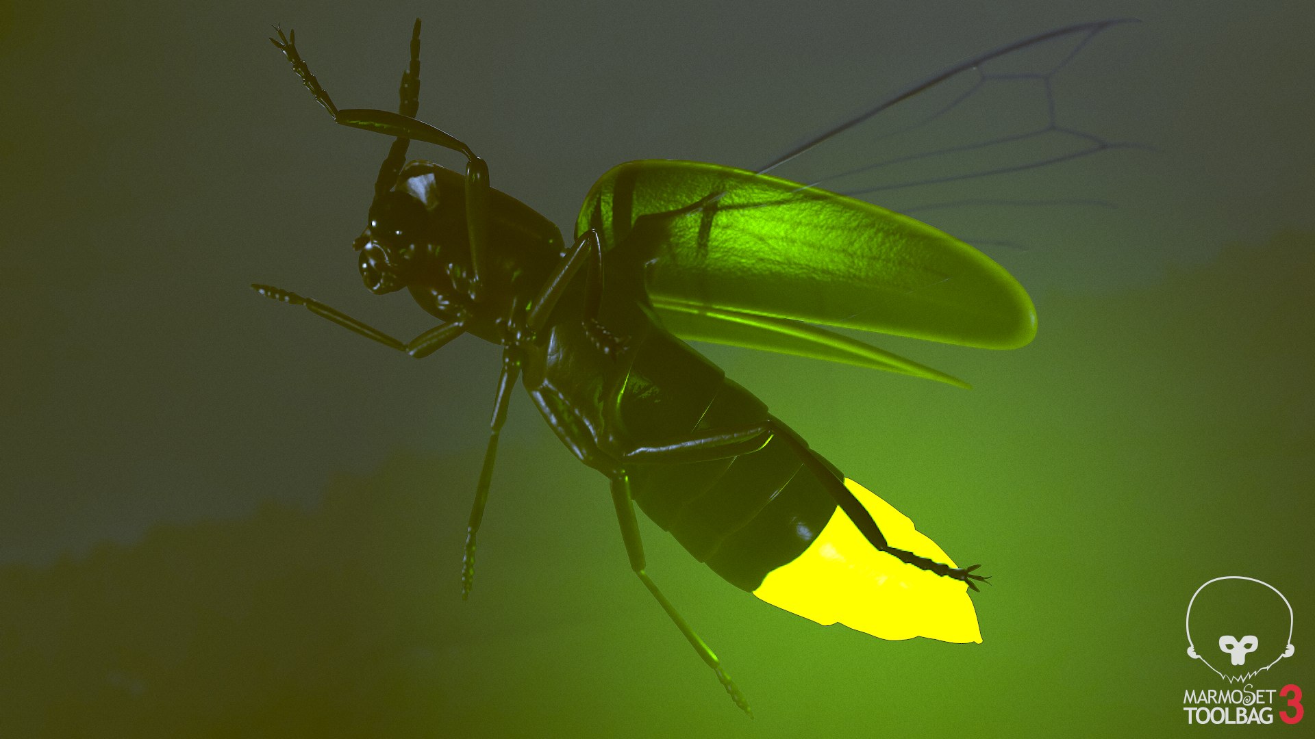 Firefly Pbr Model - TurboSquid 1604512