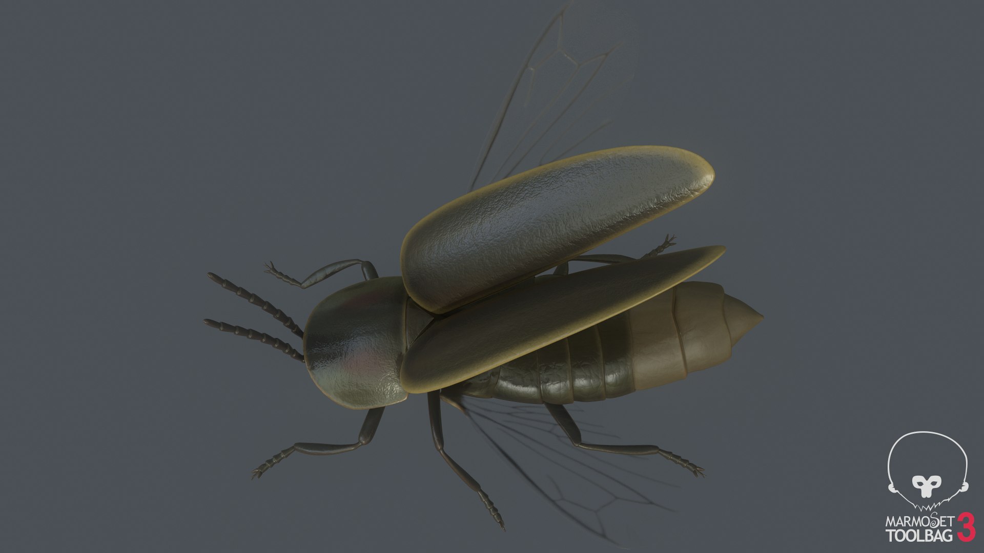 Firefly Pbr Model - TurboSquid 1604512