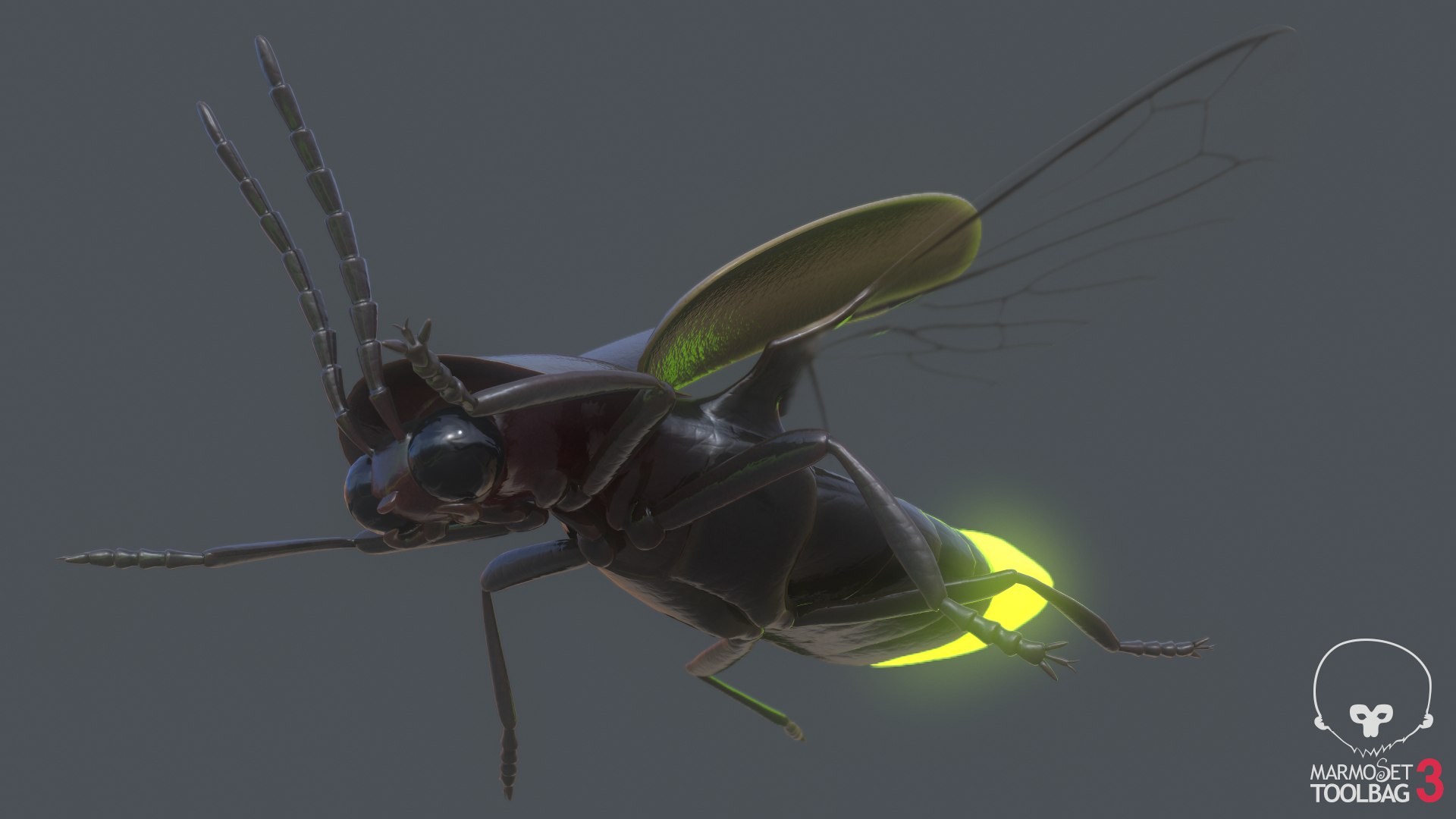 Firefly Pbr Model - TurboSquid 1604512