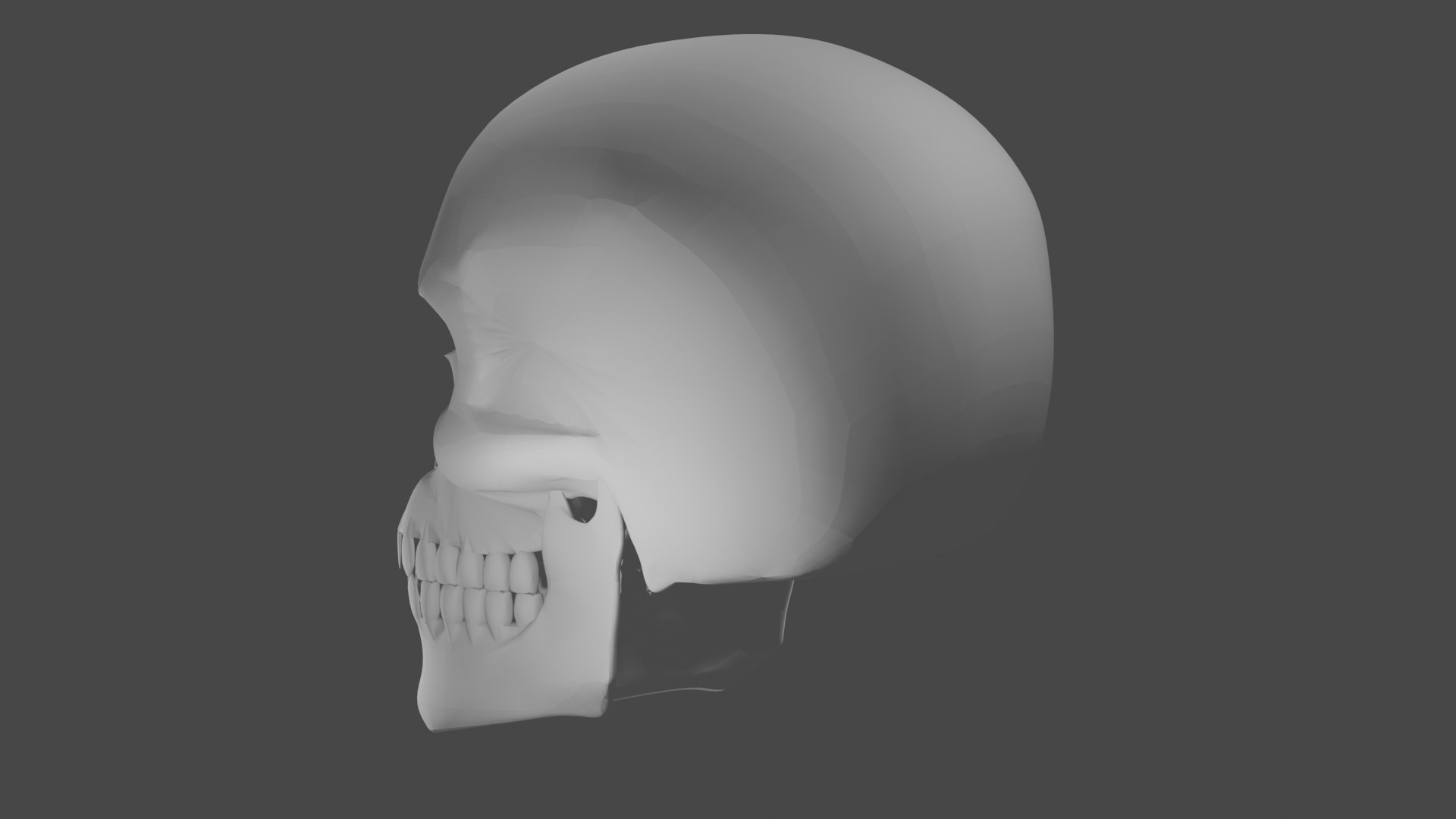 3D SKULL - TurboSquid 2018935