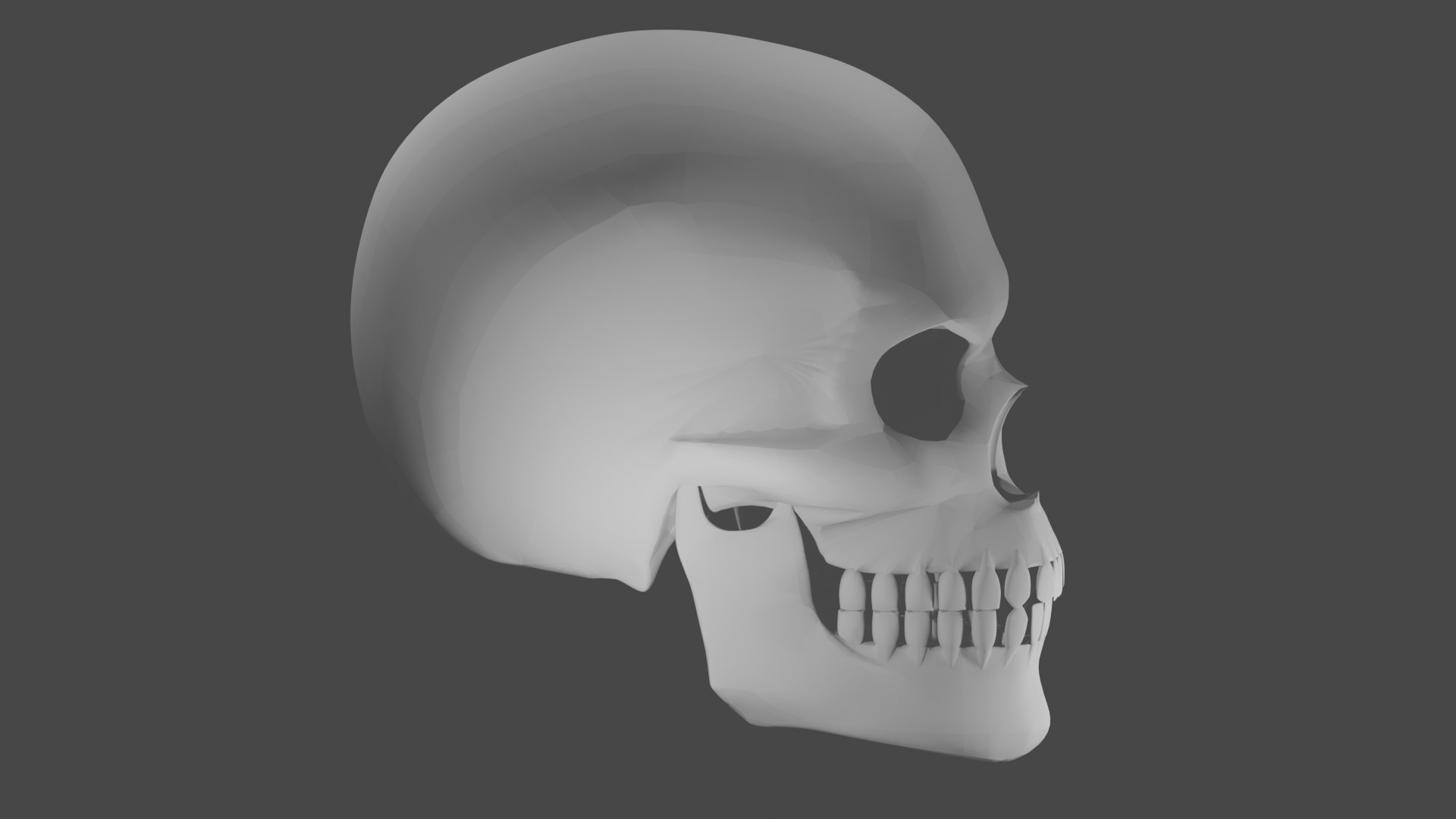 3D SKULL - TurboSquid 2018935
