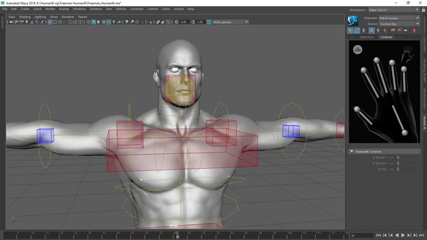 Free 3D rigged humanik - TurboSquid 1348026