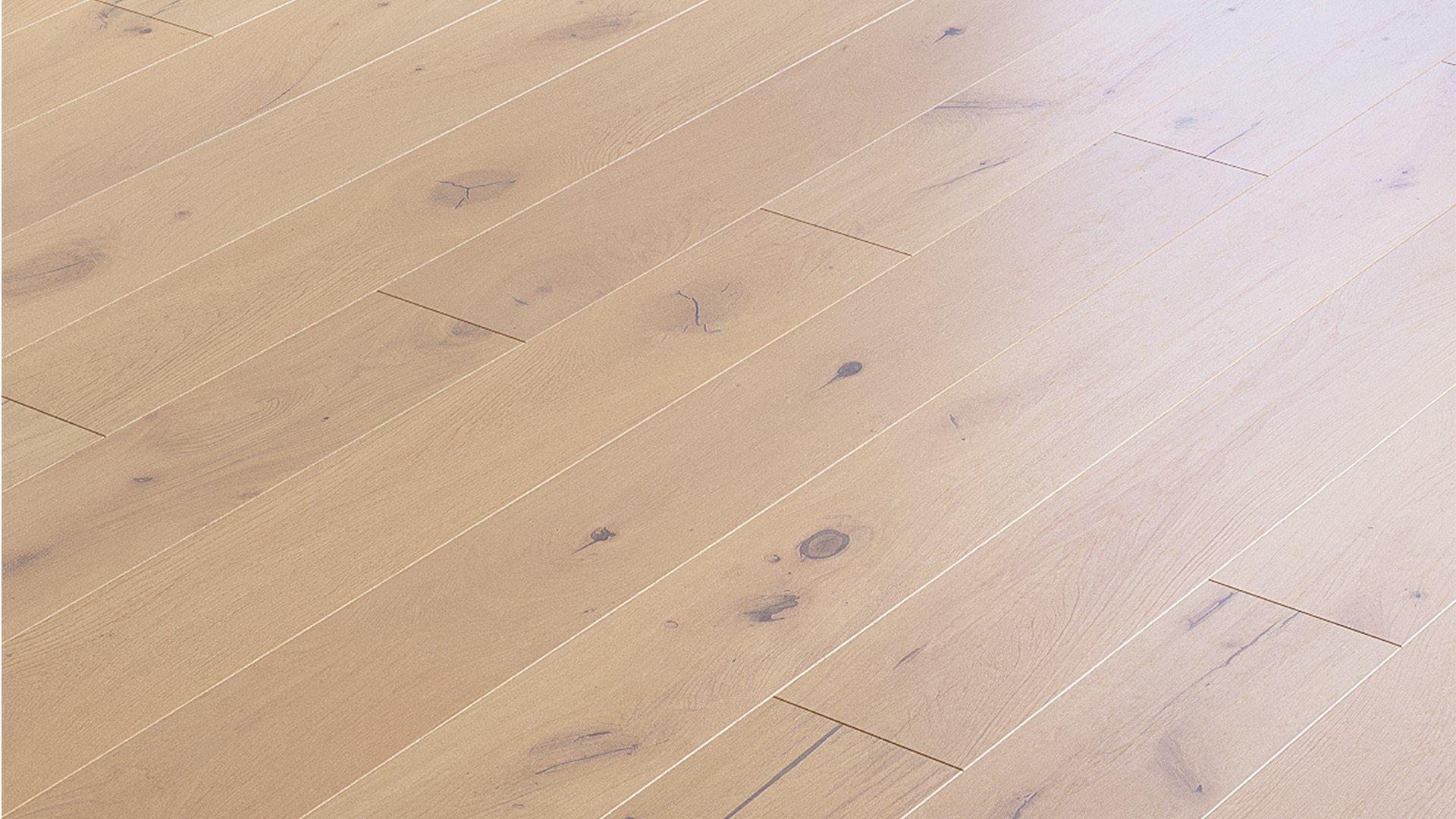 3D Oak Abalone - TurboSquid 2224149