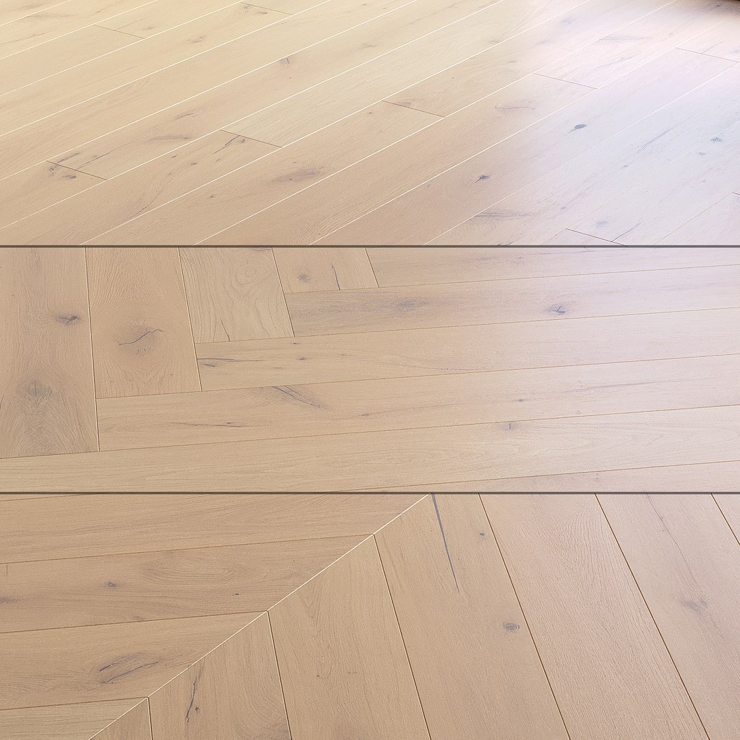 3D Oak Abalone - TurboSquid 2224149