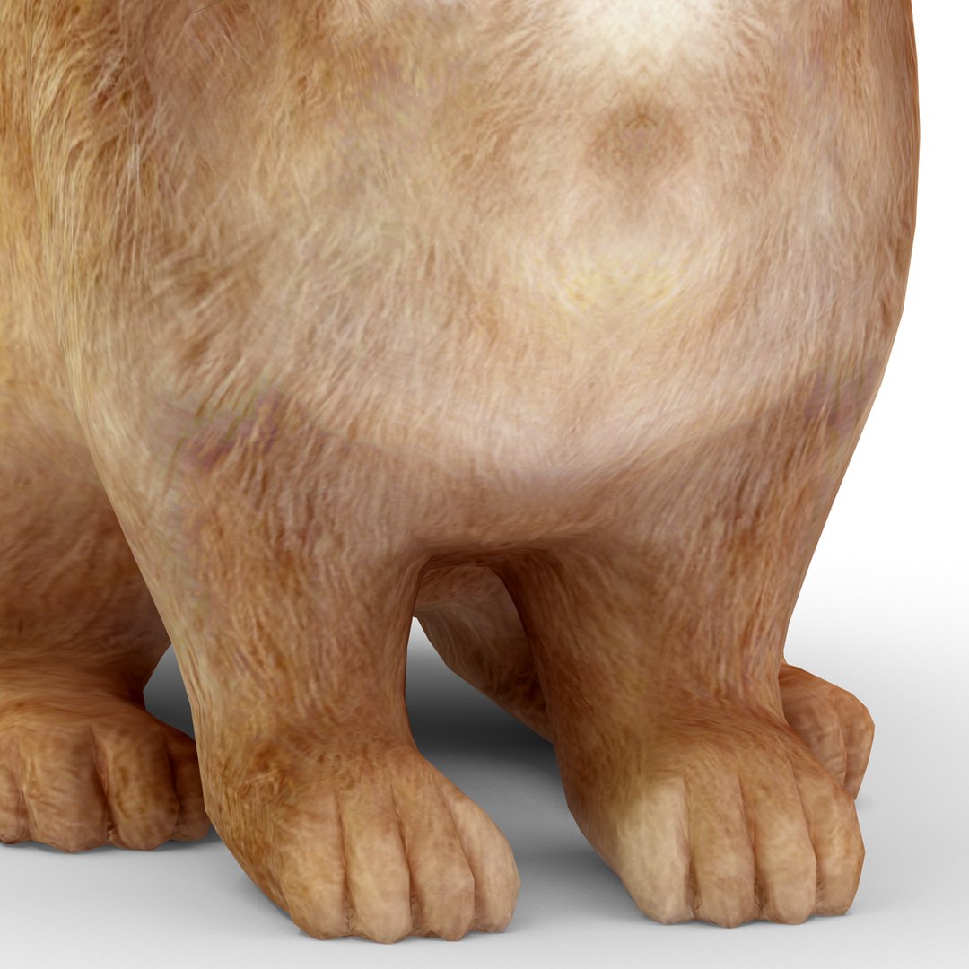 Rabbit Red 3d Model