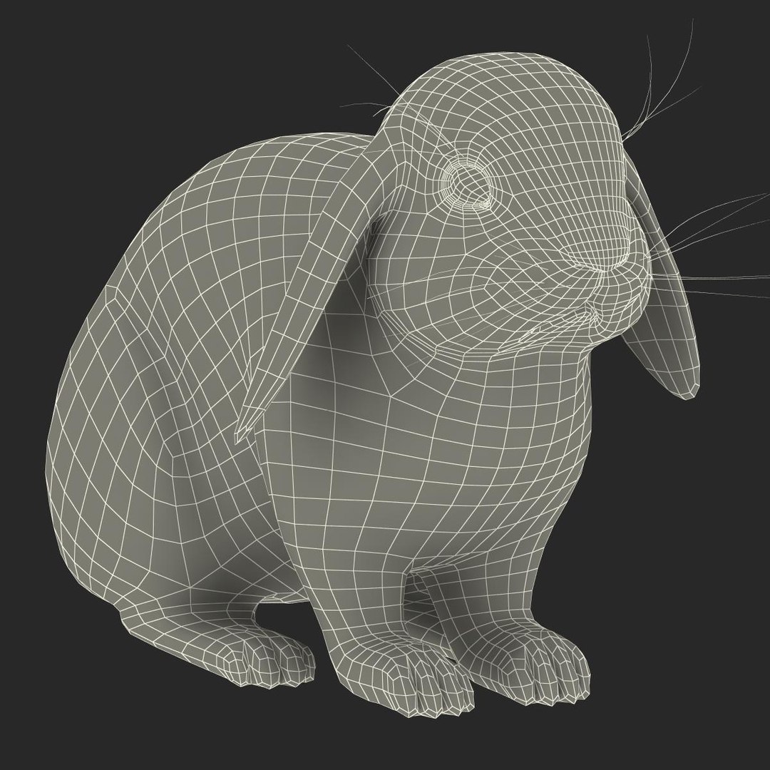 Rabbit Red 3d Model