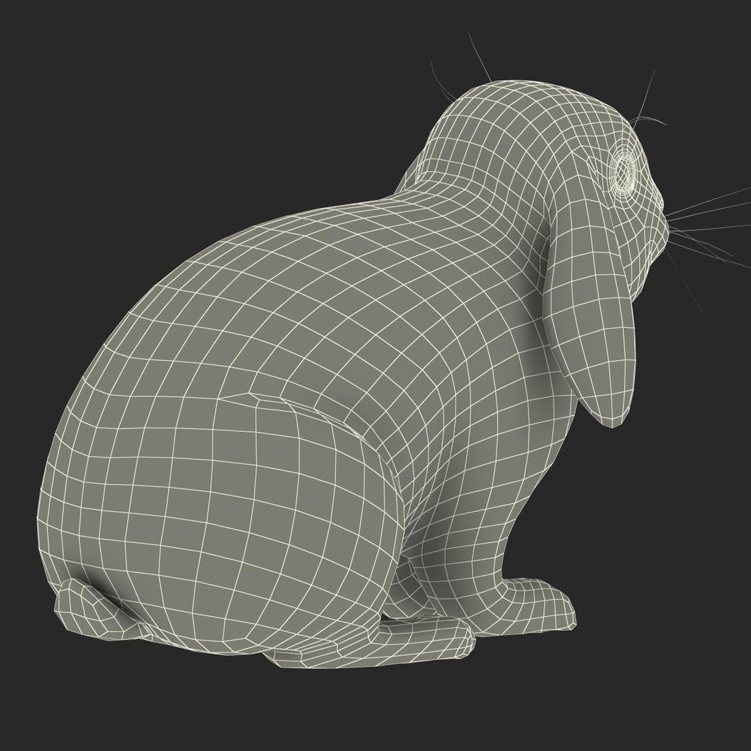 Rabbit Red 3d Model