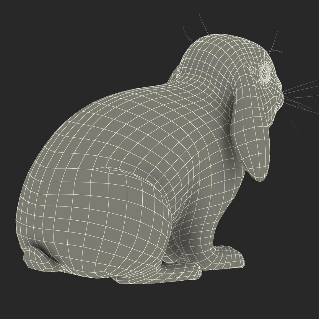 rabbit red 3d model