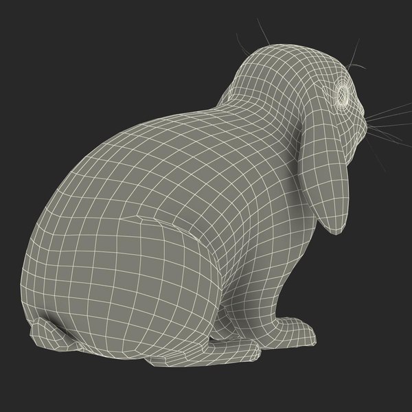 rabbit red 3d model