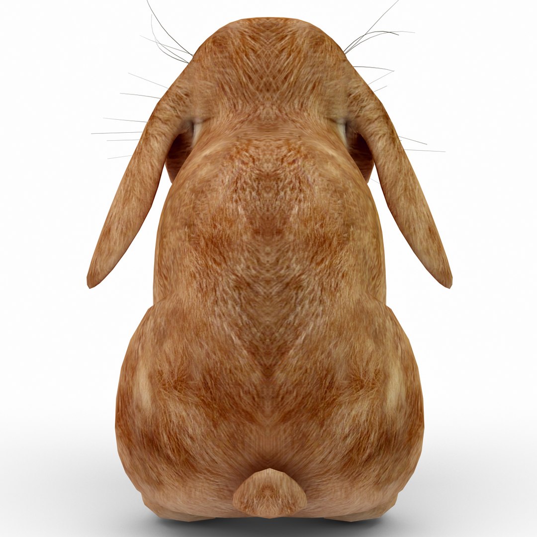 Rabbit Red 3d Model