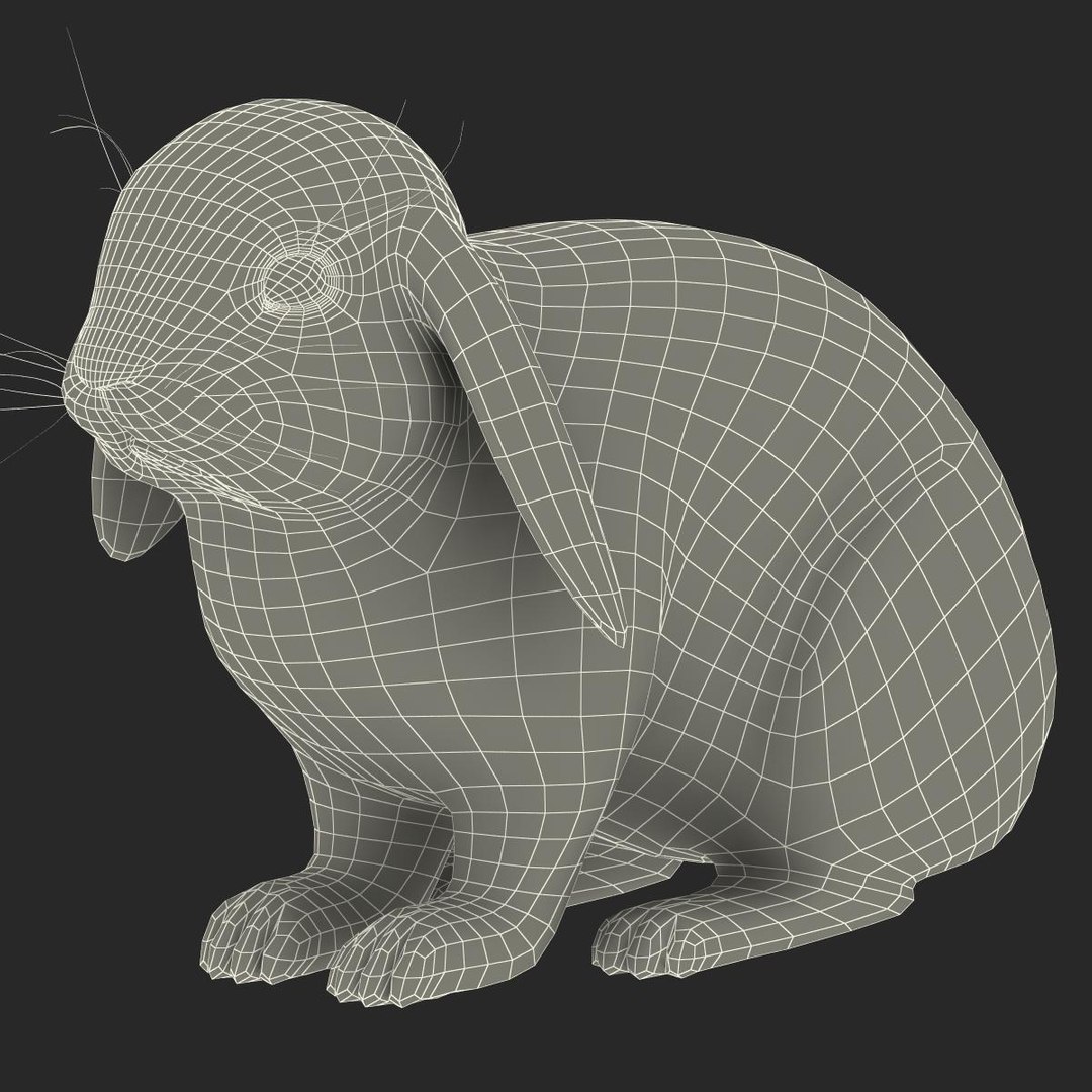 Rabbit Red 3d Model