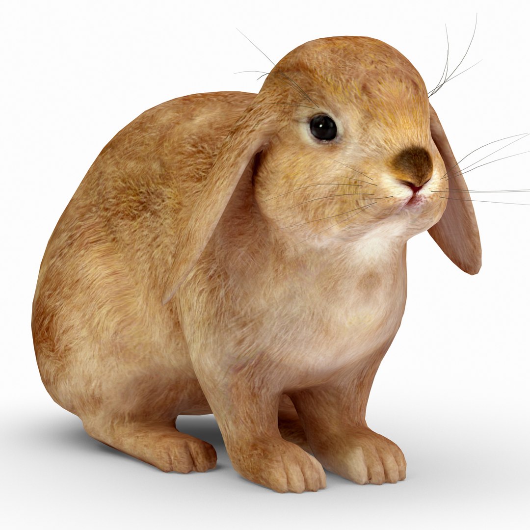 rabbit red 3d model