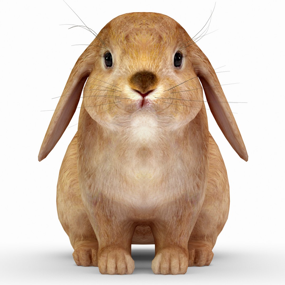 Rabbit Red 3d Model