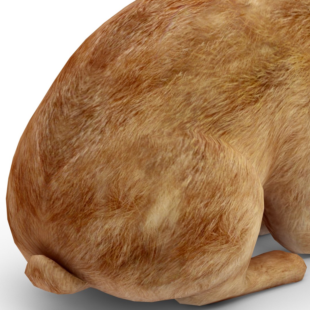 Rabbit Red 3d Model