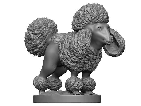 3D Poodle Models | TurboSquid