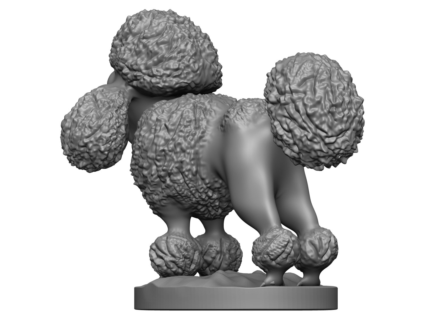 3D Realistic Poodle - TurboSquid 1874335