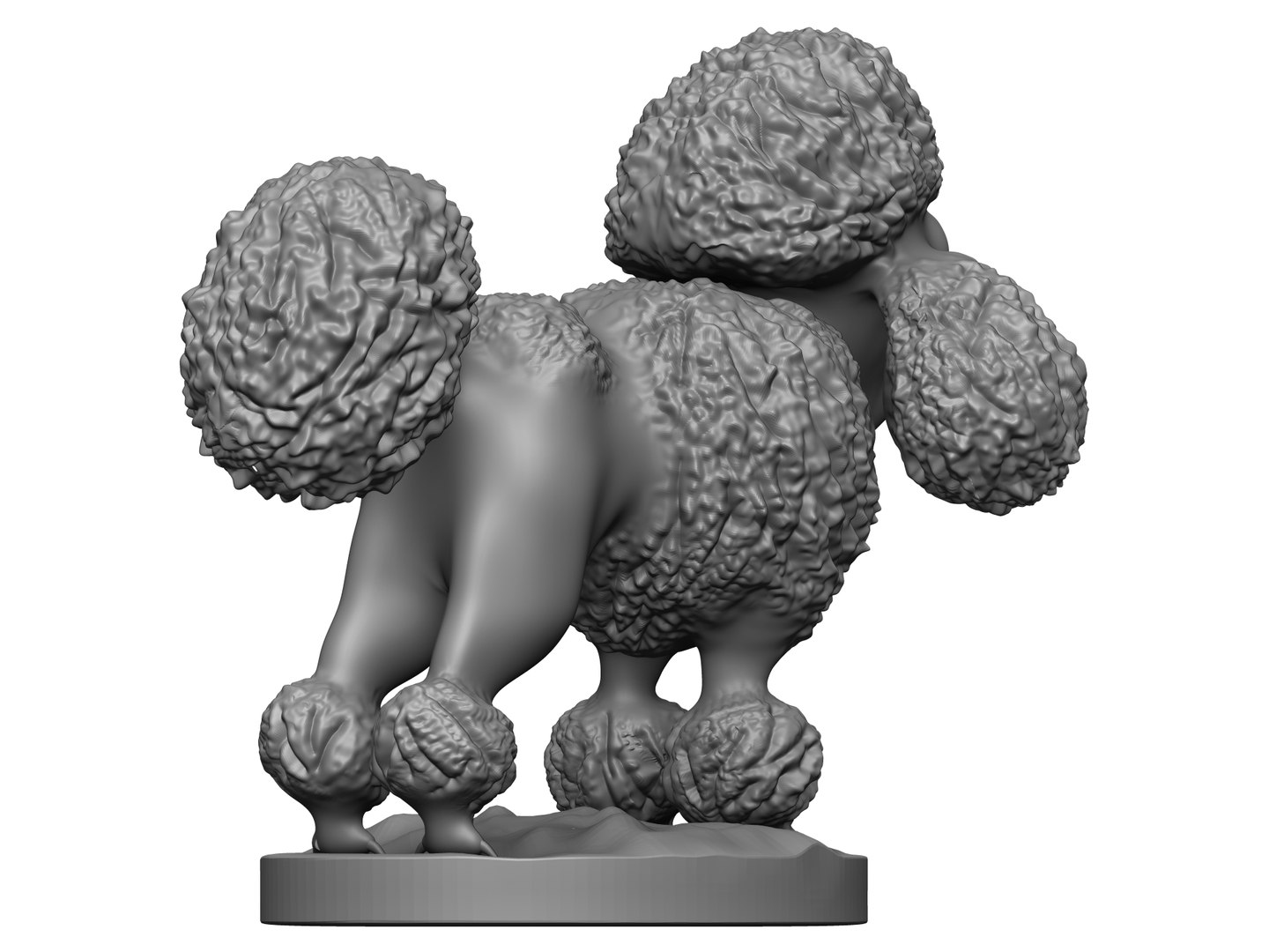 3D Realistic Poodle - TurboSquid 1874335