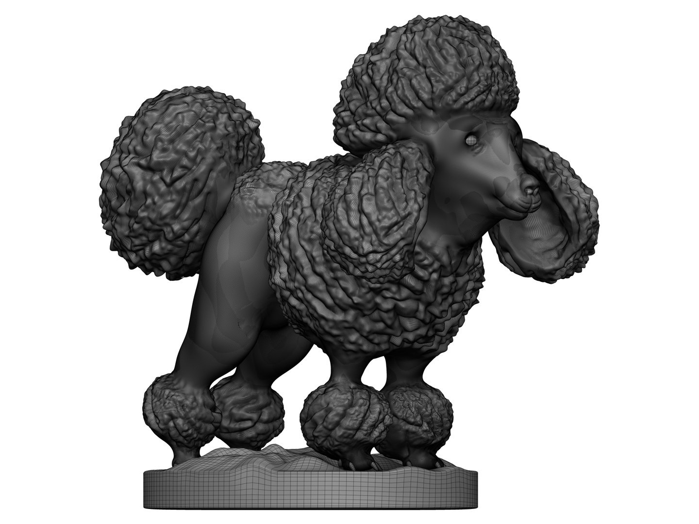 3D Realistic Poodle - TurboSquid 1874335