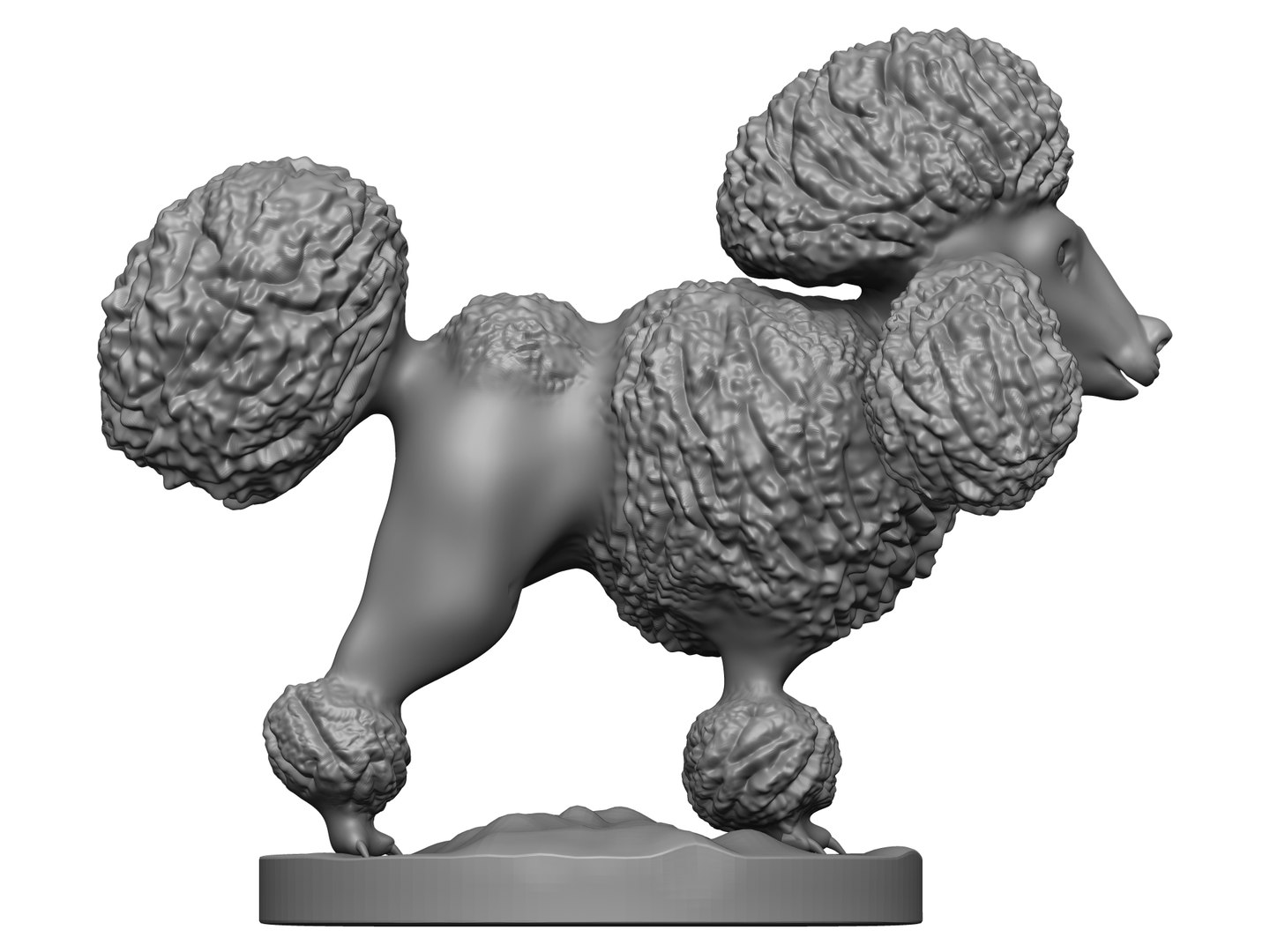 3D Realistic Poodle - TurboSquid 1874335