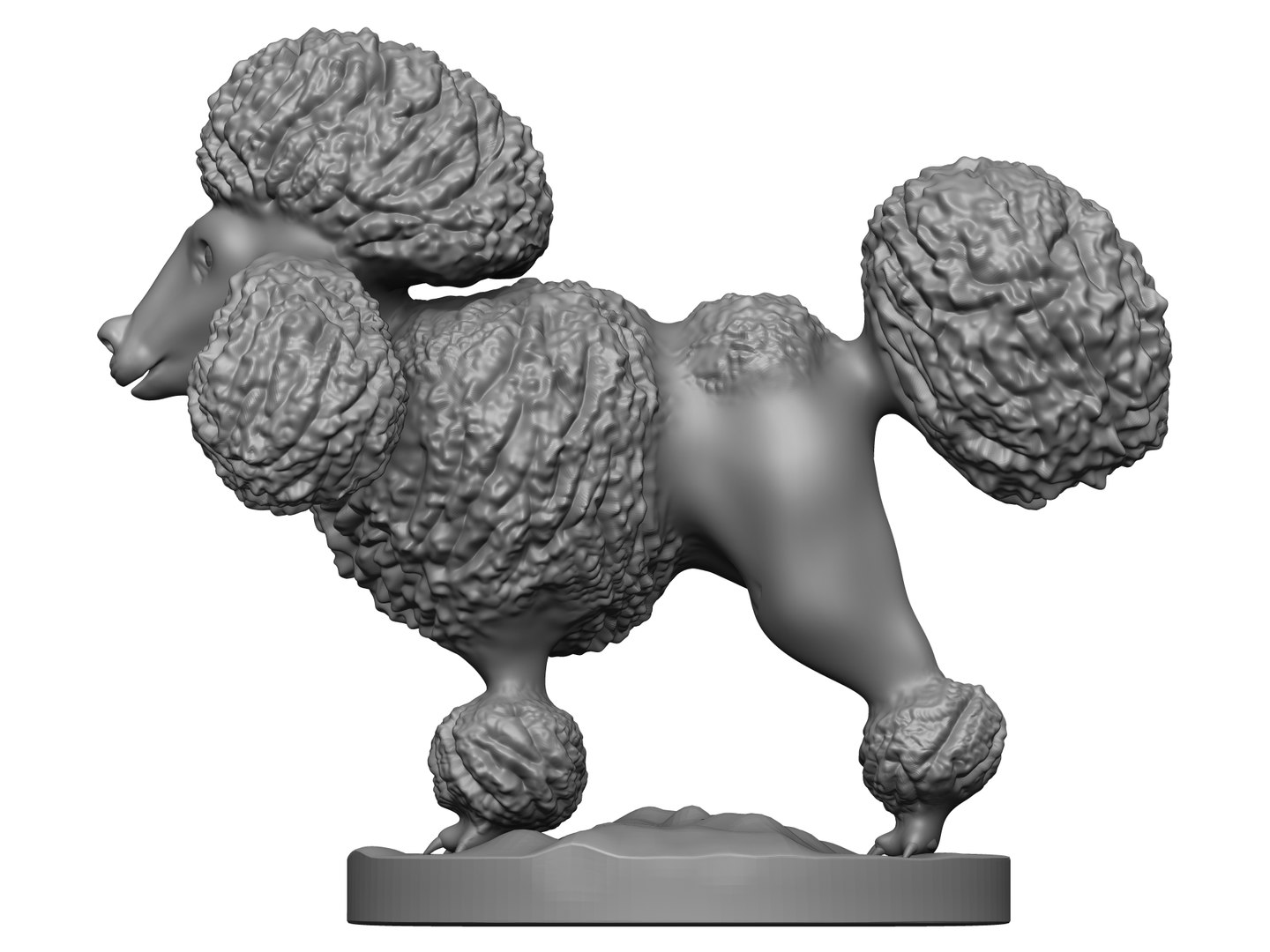 3D Realistic Poodle - TurboSquid 1874335