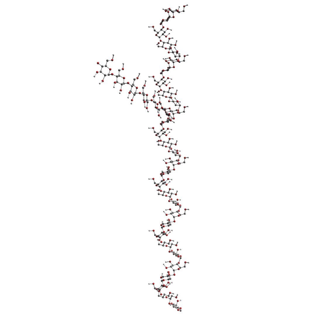 3d Amylopectin Polysaccharide Model