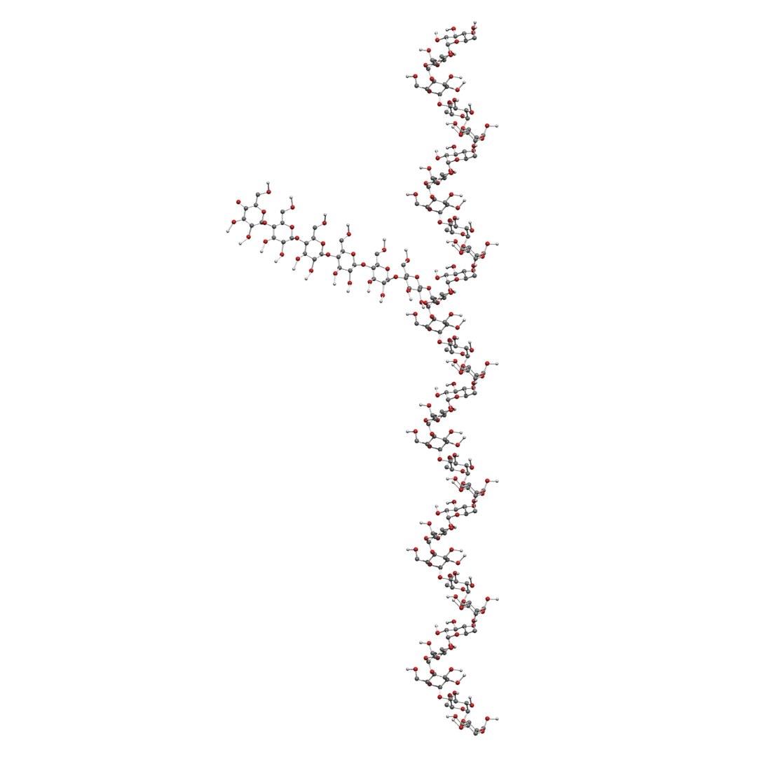 3d Amylopectin Polysaccharide Model