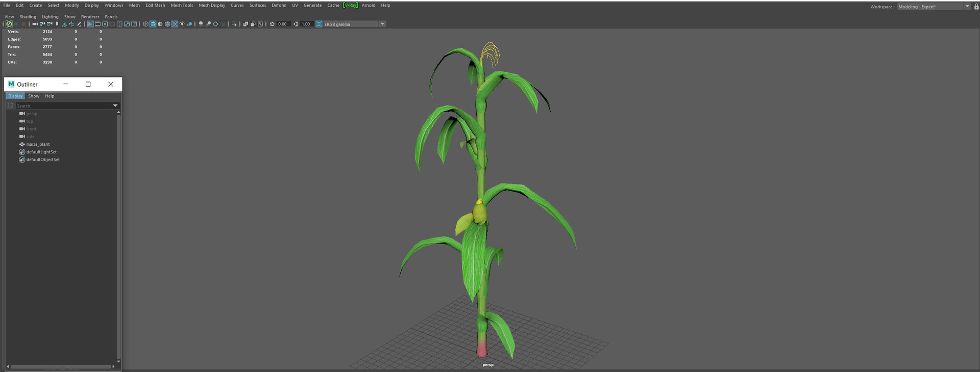 3D Maize Plant - TurboSquid 1547640