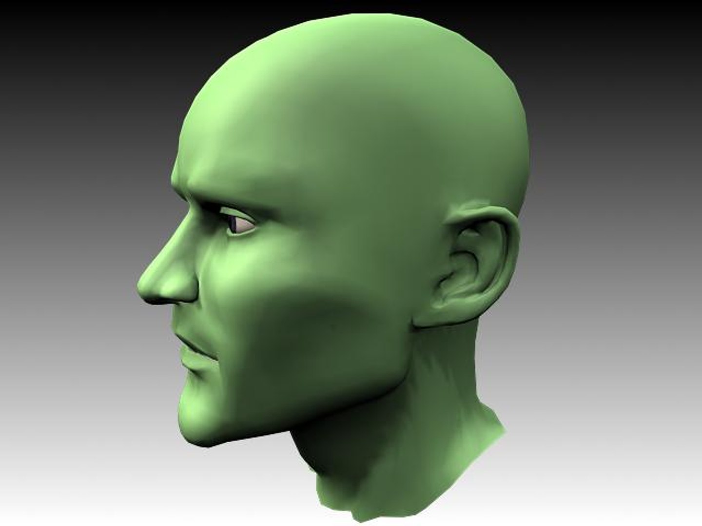 3ds max muscular head