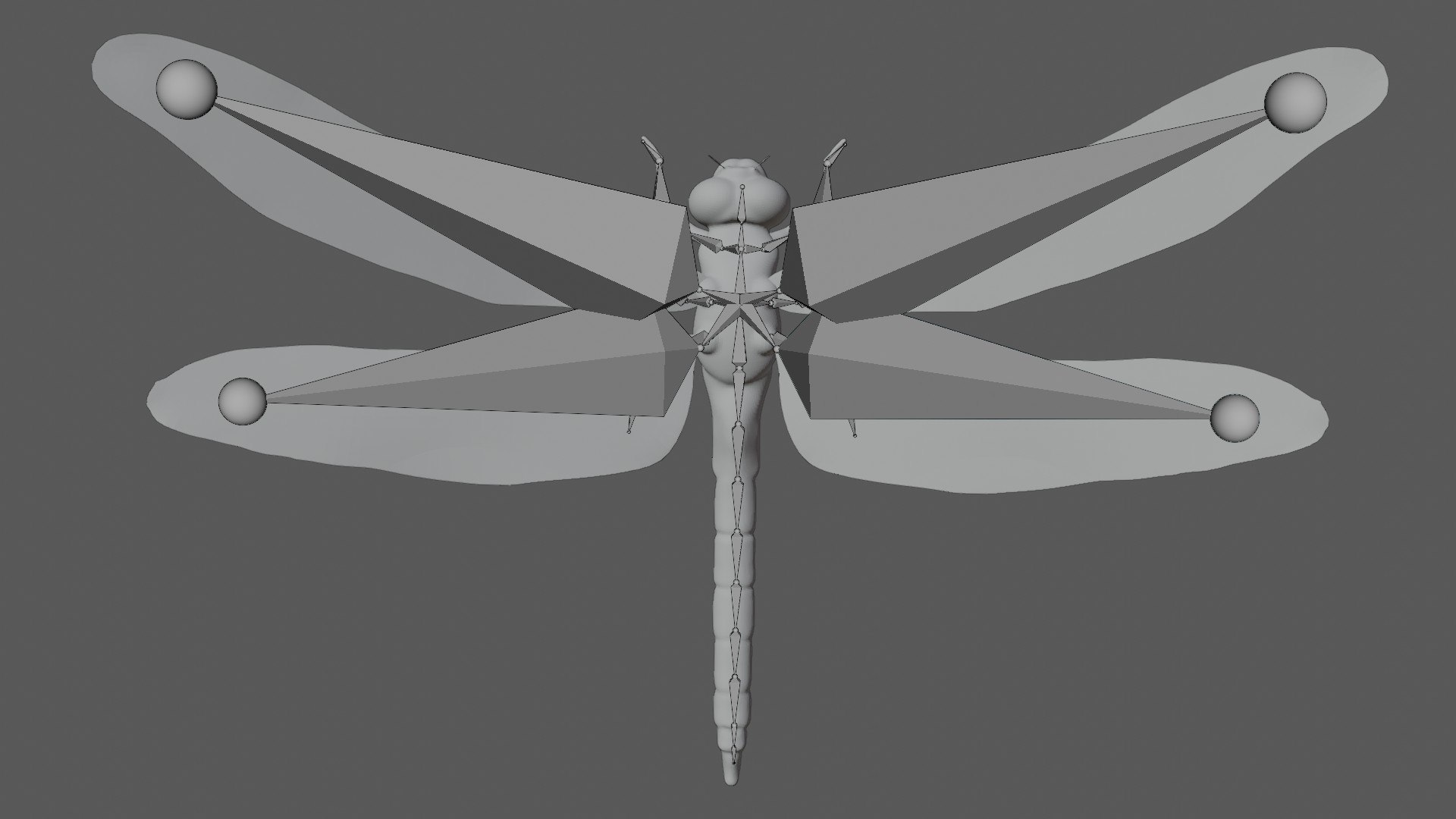 3D Fully Rigged Low Poly Dragon Fly - TurboSquid 1758469