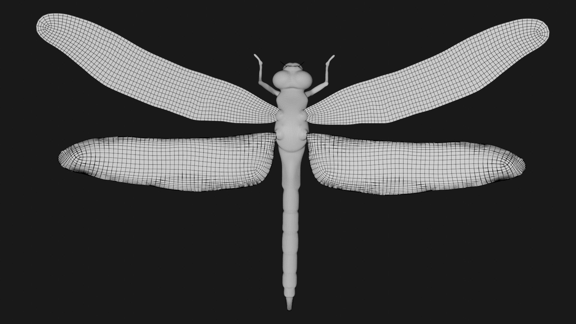 3D Fully Rigged Low Poly Dragon Fly - TurboSquid 1758469