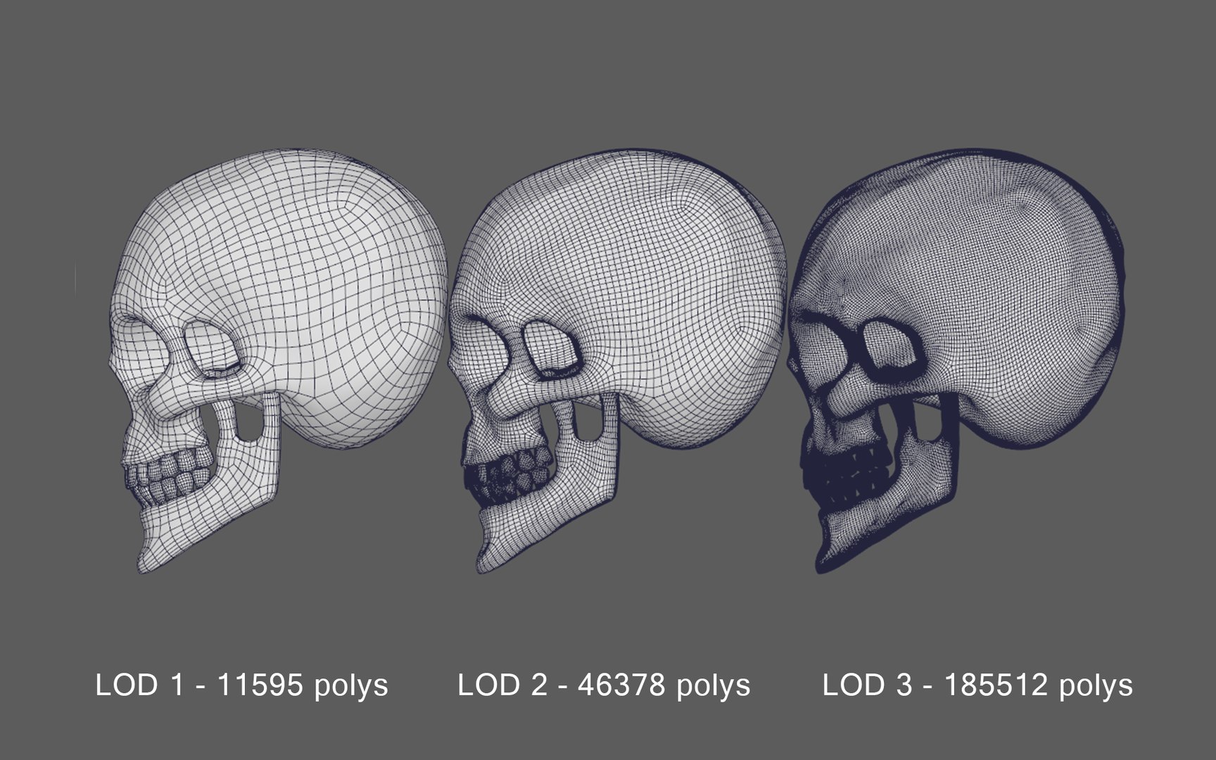 3D Model Stylized Human Skull - TurboSquid 1385109