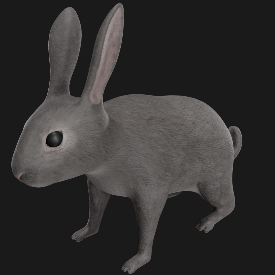 3D Realistic Rigged Rabbit - TurboSquid 1669524