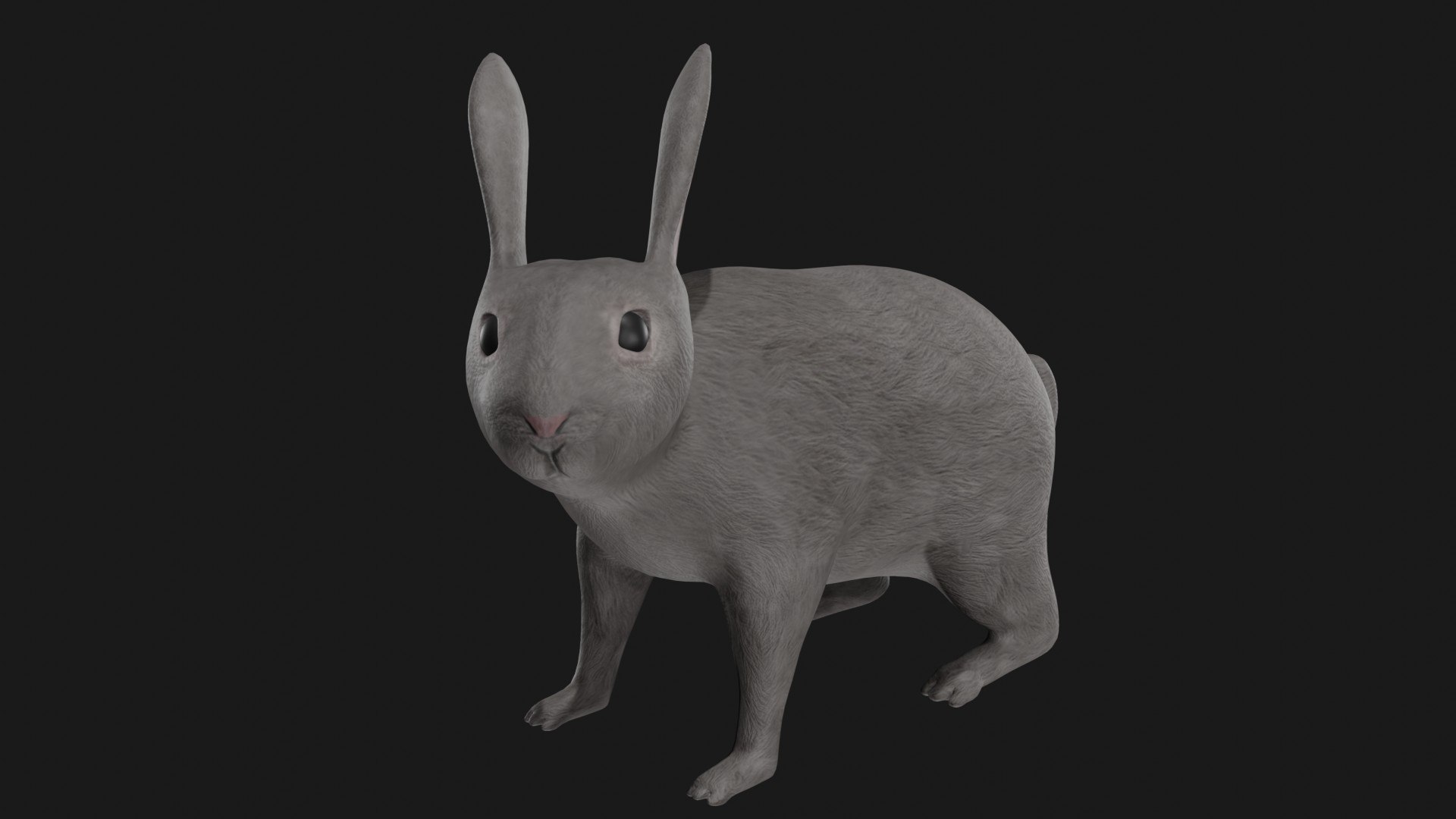 3D Realistic Rigged Rabbit - TurboSquid 1669524