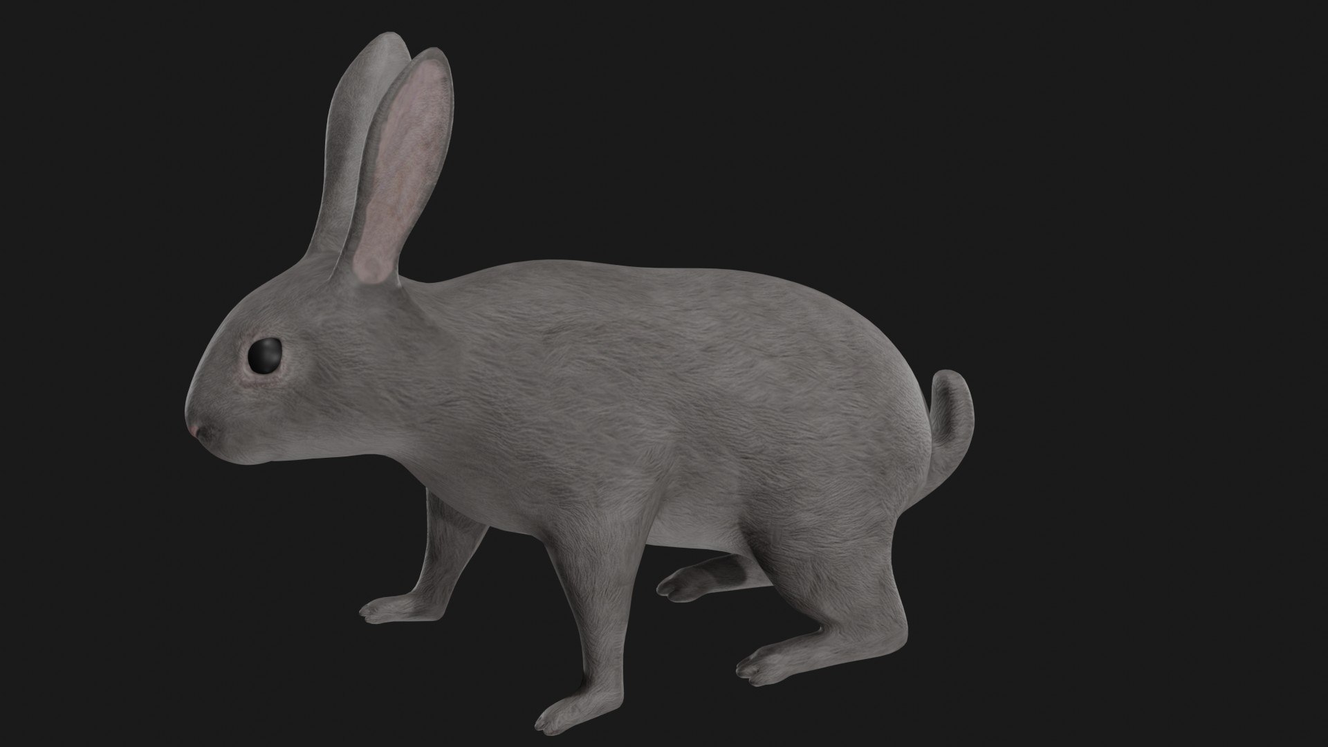 3D Realistic Rigged Rabbit - TurboSquid 1669524