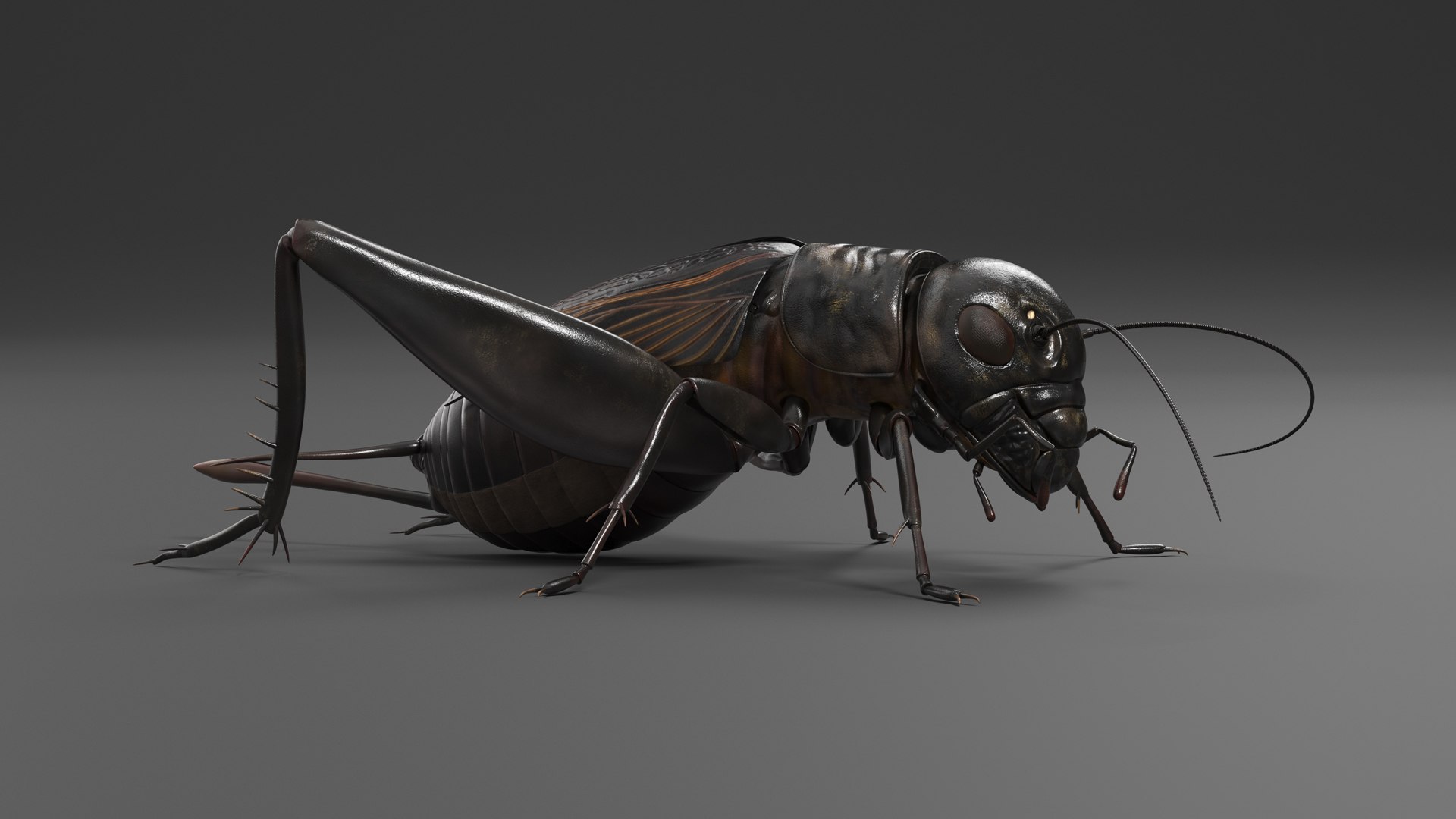 3D Field Cricket Standart Pose - TurboSquid 2248588