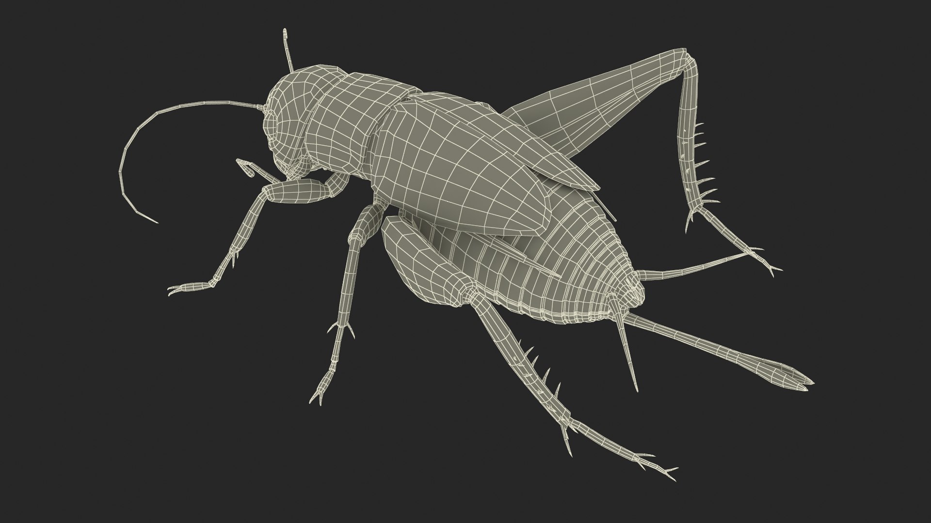 3D Field Cricket Standart Pose - TurboSquid 2248588
