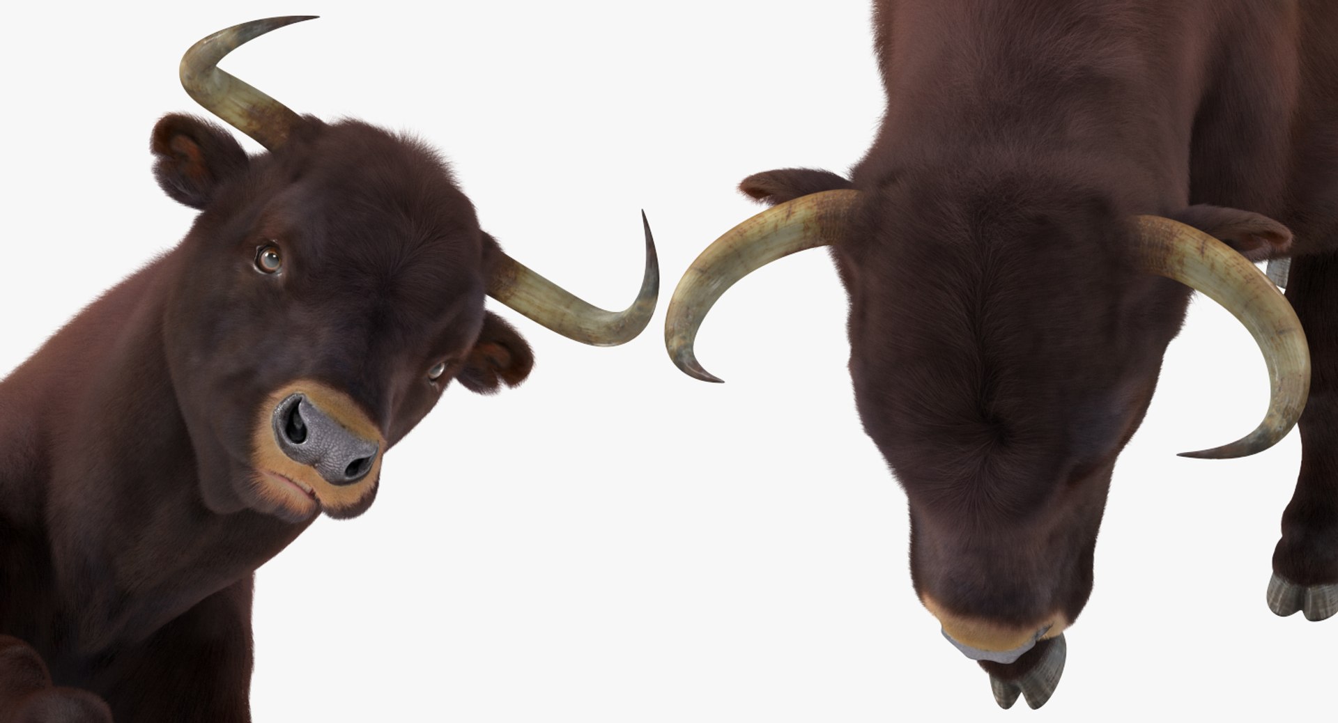 Bull Attacking Pose Fur 3D Model - TurboSquid 1217755