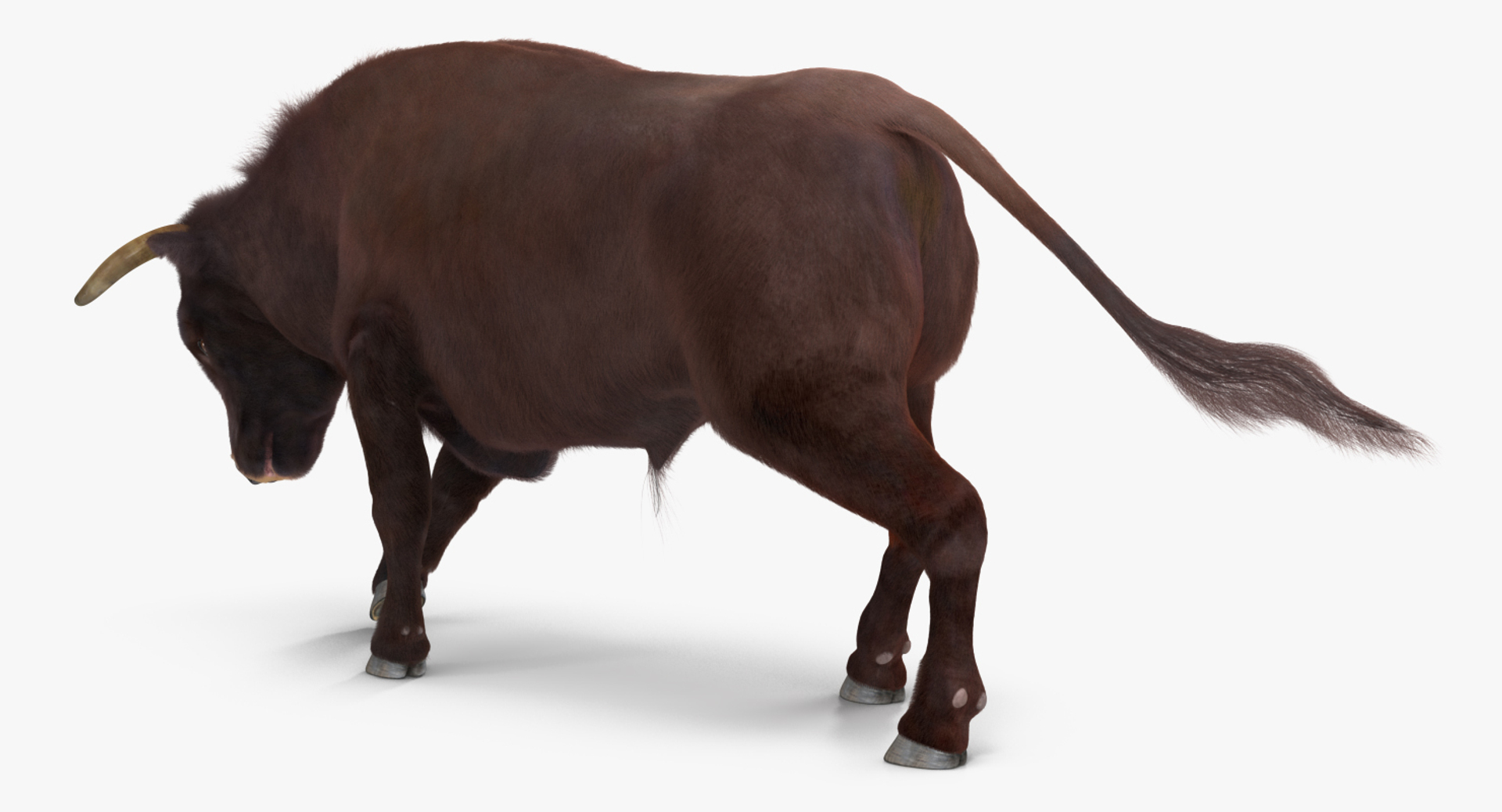 Bull attacking pose fur 3D model - TurboSquid 1217755