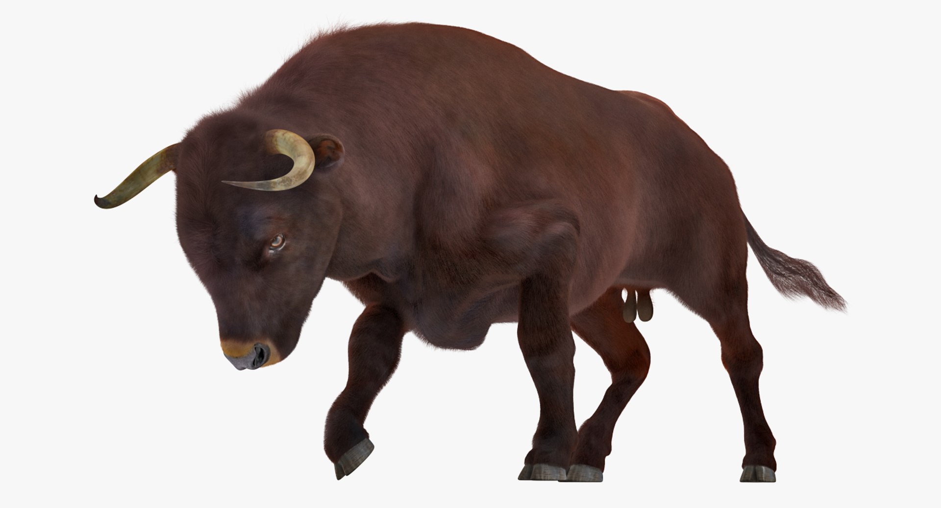 Bull Attacking Pose Fur 3D Model - TurboSquid 1217755