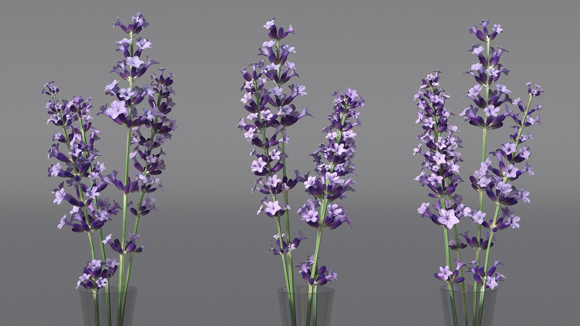 Vase With Lavender Flowers 3D Model - TurboSquid 2193557